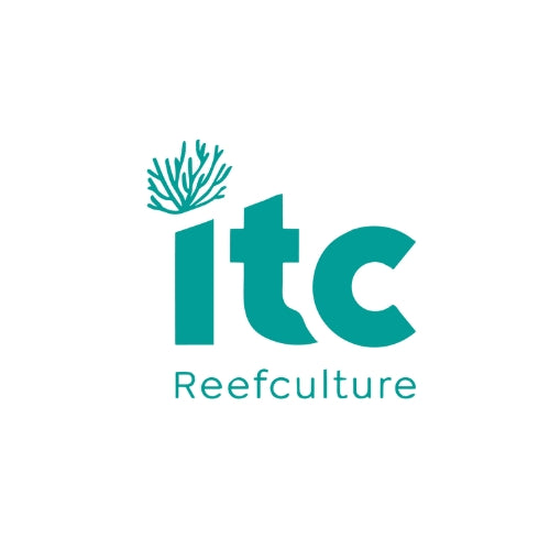 ITC – Addicted2Fish