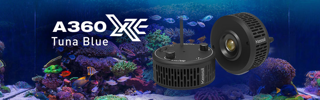 Marine – Addicted2Fish