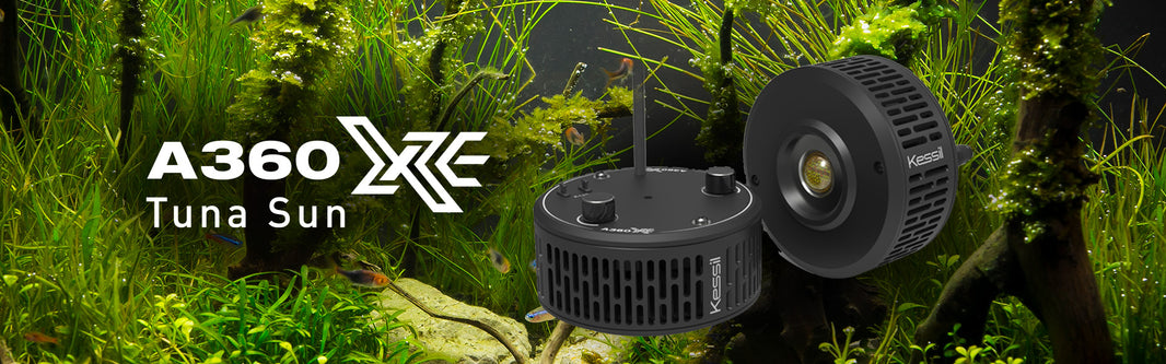 Freshwater – Addicted2Fish