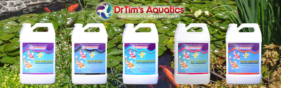 Pond – Addicted2Fish