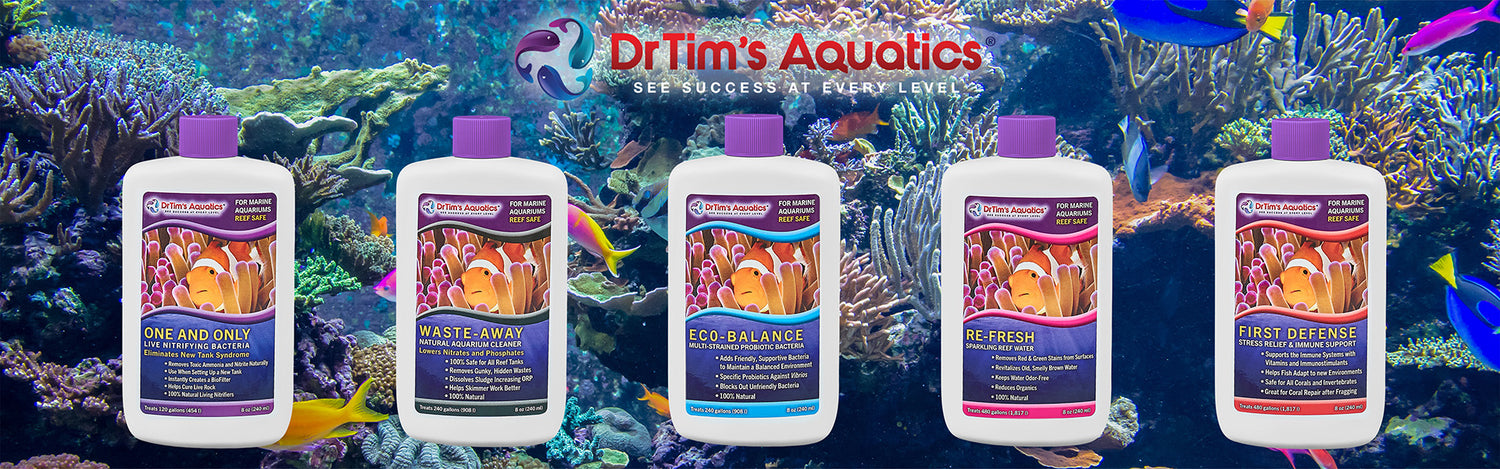 Marine – Addicted2Fish