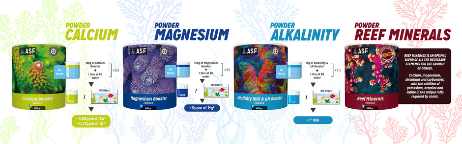 Marine – Addicted2Fish